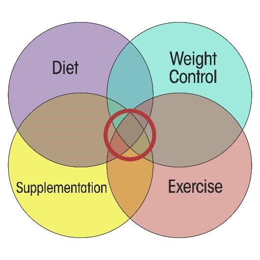 Holistic Approach to Diabetes Archives - Health Tips From The Professor