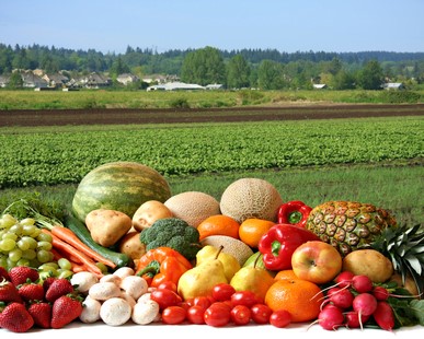 What Is The Planetary Diet? - Health Tips From The Professor