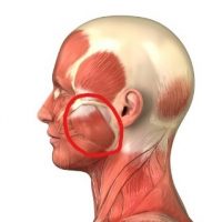 TMJ Pain Treatment: Your Masseter Muscle